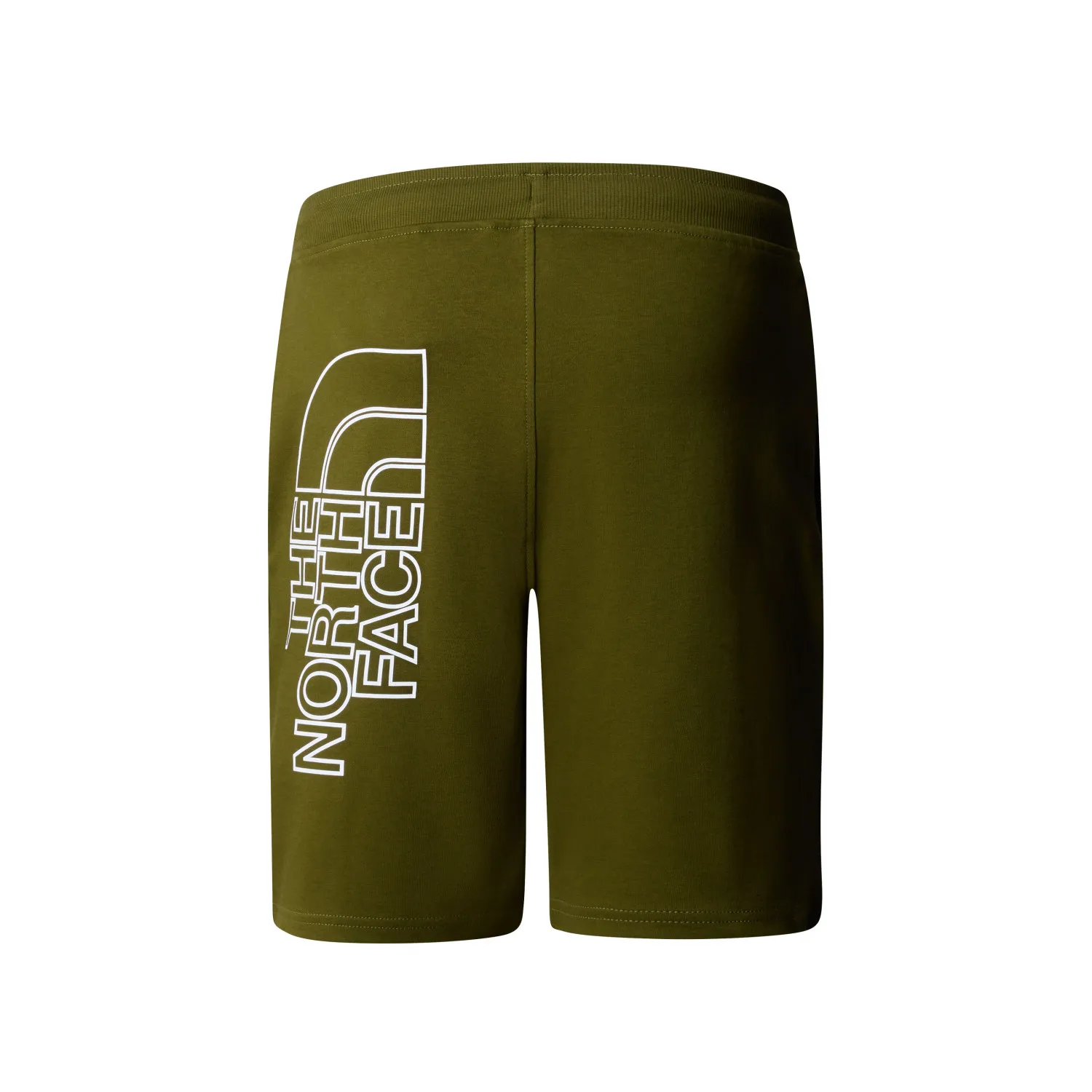 The north face graphic light shorts store